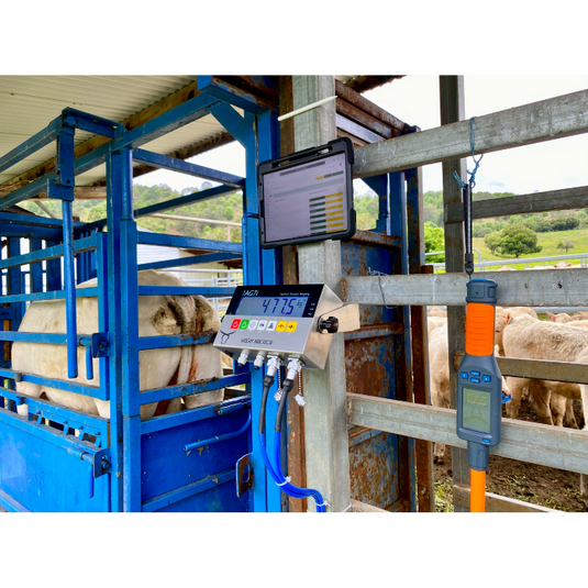 Premium Cattle Scales - Accurate Weighing Solutions for Livestock ...