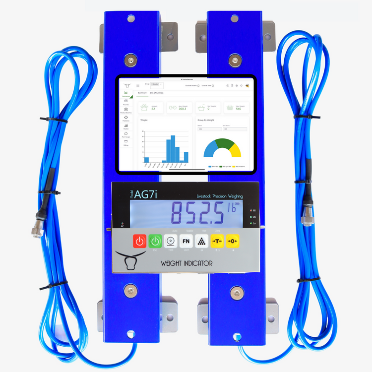 Premium Cattle Scales - Accurate Weighing Solutions for Livestock ...